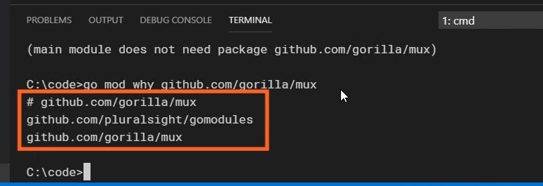 Exploring Go Modules